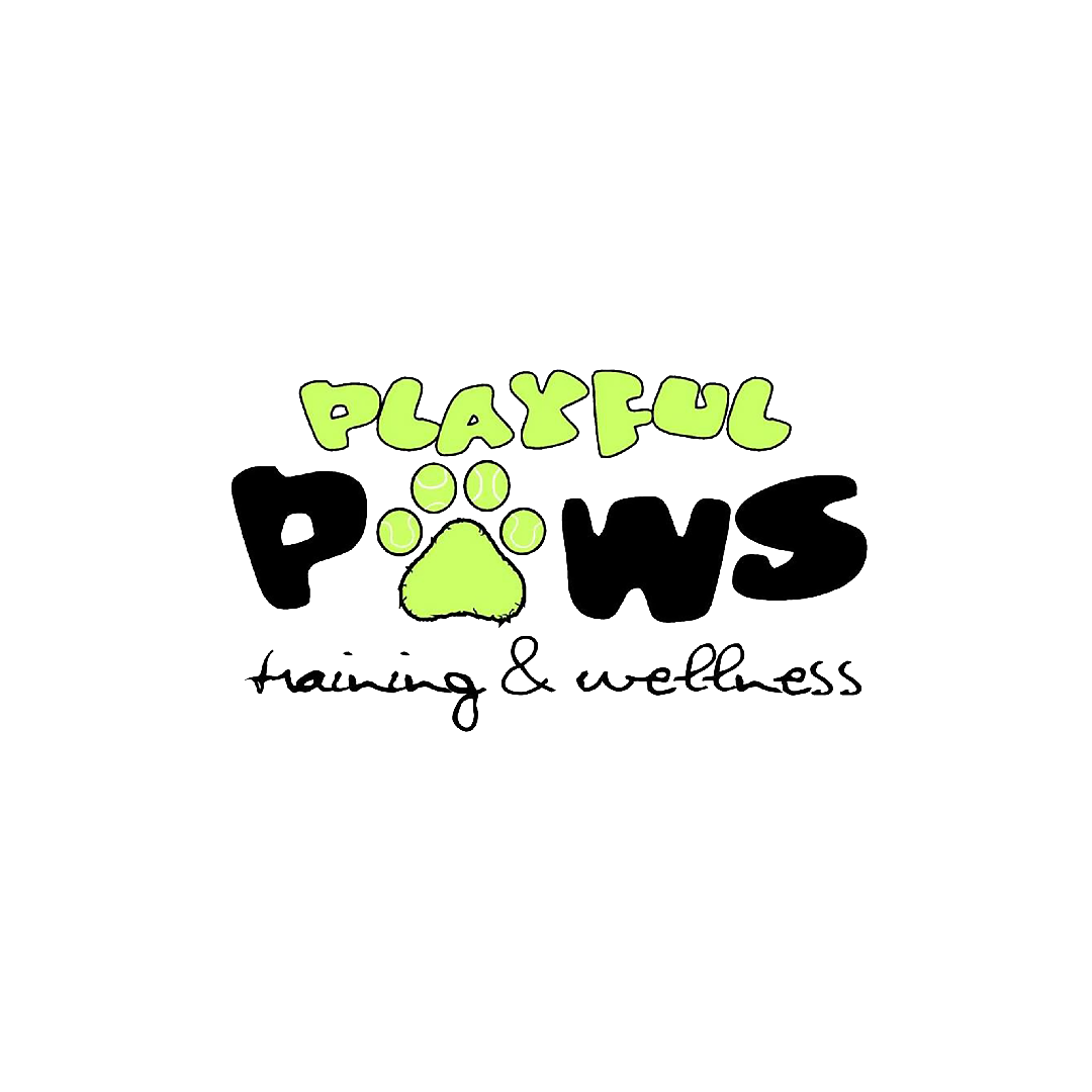 Private dog training & Assistance dog training |Playful Paws